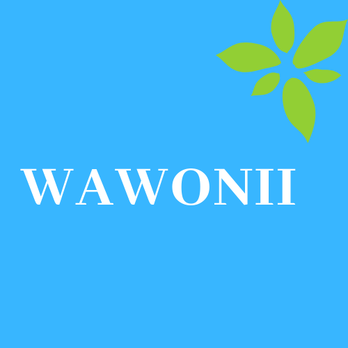 The History of Wawonii | Wonderful Wawonii