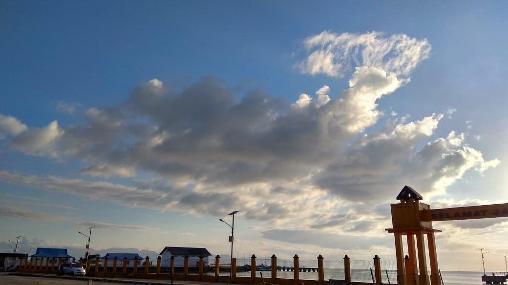 The History of Wawonii | Wonderful Wawonii